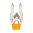 Arms Raised Forward Shoulder Lifts Close Up Preparatory-Poses | Tummee.com