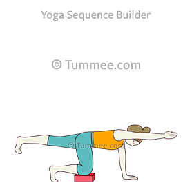 Balancing Table Top Pose Knee Block (Dandayamana Bharmanasana Janu ...