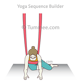 Bharadvaja Twist Pose Ii Prep Forward Bend Side Elbows Chest Aerial ...