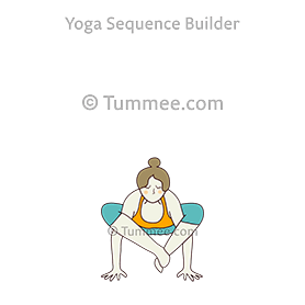 Insect Pose Yoga (Bhujapidasana, Dvihasta Bhujasana) | Yoga Sequences ...