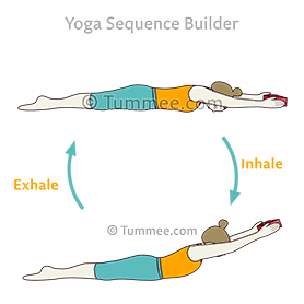 Cobra Pose Arms Extended Block Yoga(Bhujangasana Utthita Hasta Block ...