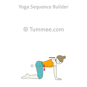 Cow Pose Variation Lower Back (Bitilasana Variation Lower Back) Tummee ...