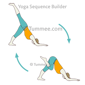 Dolphin Pose Knee To Nose Straight Spine Flow (Catur Svanasana Janu ...