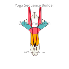 Double Diamond Pose Trapeze Aerial Yoga (Viparita Ardha Baddha Konasana ...