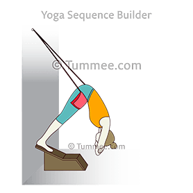 Downward Facing Dog Pose Hips Rope Feet Simhasana Box Bound Elbows ...