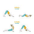 Eight Limbed Pose Flow Yoga (Ashtanga Namaskara Vinyasa) | Yoga ...