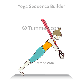 Flying Plank Hands Trapeze Aerial (Flying Phalakasana Hasta Trapeze ...