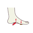 Feet Curl Close Up Preparatory-Poses | Tummee.com