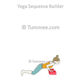 500+ Yoga Poses for Arms to Plan Yoga Sequences | Tummee.com