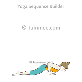 Four Limbed Staff Pose Variation Knees Low Yoga(Caturanga Dandasana ...