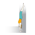 Handstand Against Wall Yoga (Adho Mukha Vrksasana Against Wall) | Yoga ...
