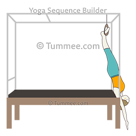 Hanging Full Exercise Trapeze Table Levelup-Poses | Tummee.com