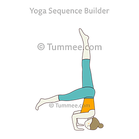 Headstand Pose Ii L Shape Legs Yoga(Sirsasana Ii Pada L Shape)| Yoga ...