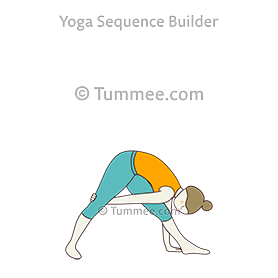 Intense Side Stretch Pose One Hand Thigh (Parsvottanasana Eka Hasta ...