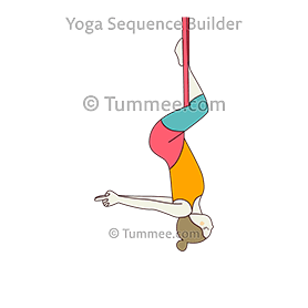 Inverted Butterfly Pose Hands Clasped Behind Back Aerial Yoga(Viparita ...