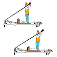 Kneeling Pose Serving Arms Exercise Pilates Reformer Relaxing-Poses ...