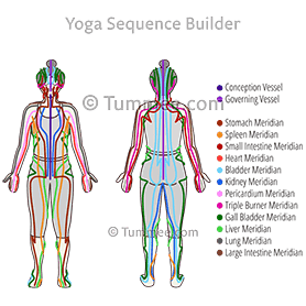 Meridianen Yoga | Yogasequenties, voordelen, variaties en ...