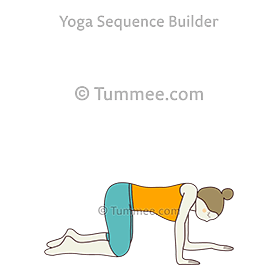 One Forearm Table Top Pose Yoga(Eka Bahu Bharmanasana)| Yoga Sequences ...