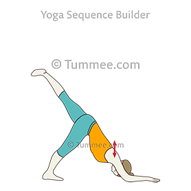 Dolphin Pose Yoga (Catur Svanasana) | Yoga Sequences, Benefits ...
