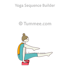 One Legged Insect Pose Hands Blocks (Eka Hasta Bhujasana Hasta Blocks ...