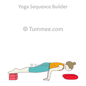 Peacock Pose Feet Blocks (Mayurasana Pada Block) Sanskrit | Tummee.com