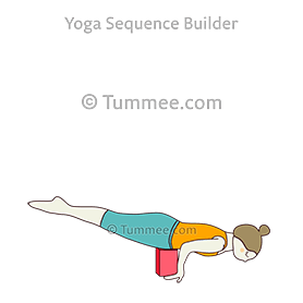 Peacock Pose Hips Block (Mayurasana Kati Block) Preparatory-Poses ...