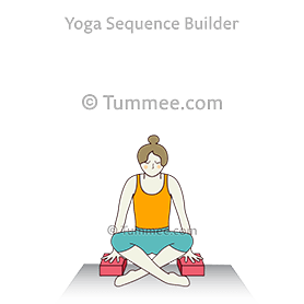 Pendant Pose Prep Hands Blocks Easy Pose (Lolasana Prep Hasta Blocks ...