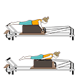 Pulling Straps T Arms Exercise Box Pilates Reformer Preparatory-Poses ...