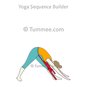 Pyramid Pose Over Folded Chair Arms Extended Forward (Parsvottanasana ...