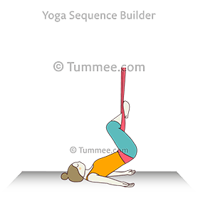 Reclined Butterfly Pose Shoulders Floor Pelvis Legs Aerial (Supta ...