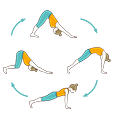 Spinal Roll Downward Facing Dog Plank Pose Flow Yoga (Merudanda Roll ...