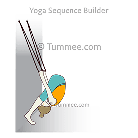 Standing Forward Bend Pose Heels Wall Hands Ropes (Uttanasana Heels ...