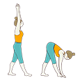 Standing Forward Bend Pose Staggered Stance On Tiptoes (Uttanasana ...