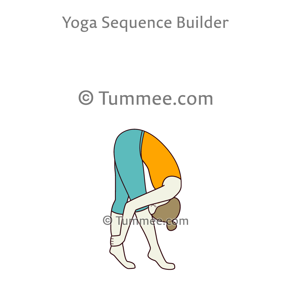 Standing Forward Bend Pose Staggered Stance On Tiptoes Yoga(Uttanasana ...