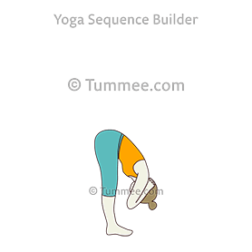 Standing Forward Fold Pose Hands Neck Yoga (Uttanasana Hasta Greeva ...