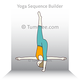 Standing Split Pose Back Wall Yoga(Urdhva Prasarita Eka Padasana ...
