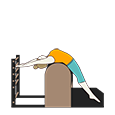Supine Stretch Backbend Pose Knees Bent Box Feet Ladder Barrel Relaxing ...