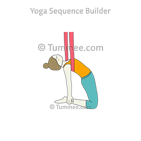 Yoga Camel Pose Variations Camel Yoga Pose - AllYogaPositions.com