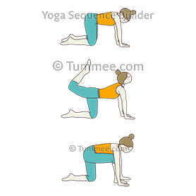 Table Top Low Lunge Pose Flow Yoga(Bharmanasana Anjaneyasana Vinyasa ...