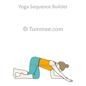 Table Top Pose Eagle Legs One Forearm One Arm Extended (Bharmanasana ...