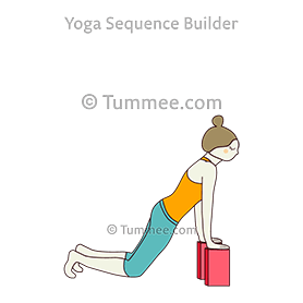 Table Top Pose Hands Blocks Leaning Forward Yoga(Bharmanasana Hasta ...