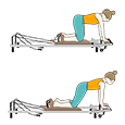 Table Top Pose Hip Shoulder Flexion Extension Pilates Reformer Exercise ...