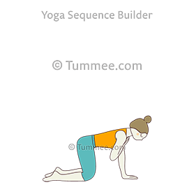 Table Top Pose Shoulder Taps (Bharmanasana Skandha Taps) Variations ...