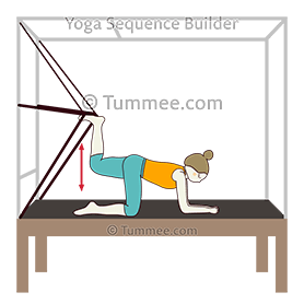 Table Top Pose (Bharmanasana) Variations - 145 variations of Table Top ...