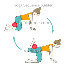 Tiger Table Top Pose Ball Flow Yoga (Vyaghrasana Bharmanasana Ball ...