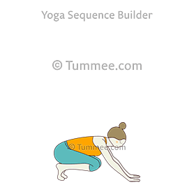 Toe Squat Pose Hands Floor Yoga (Prapadasana Hasta Floor) | Yoga ...