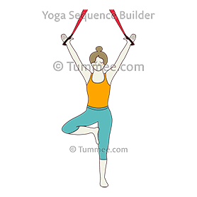 Tree Pose Hands Trx Trapeze Aerial (Vrksasana Hasta Trx Trapeze Aerial ...