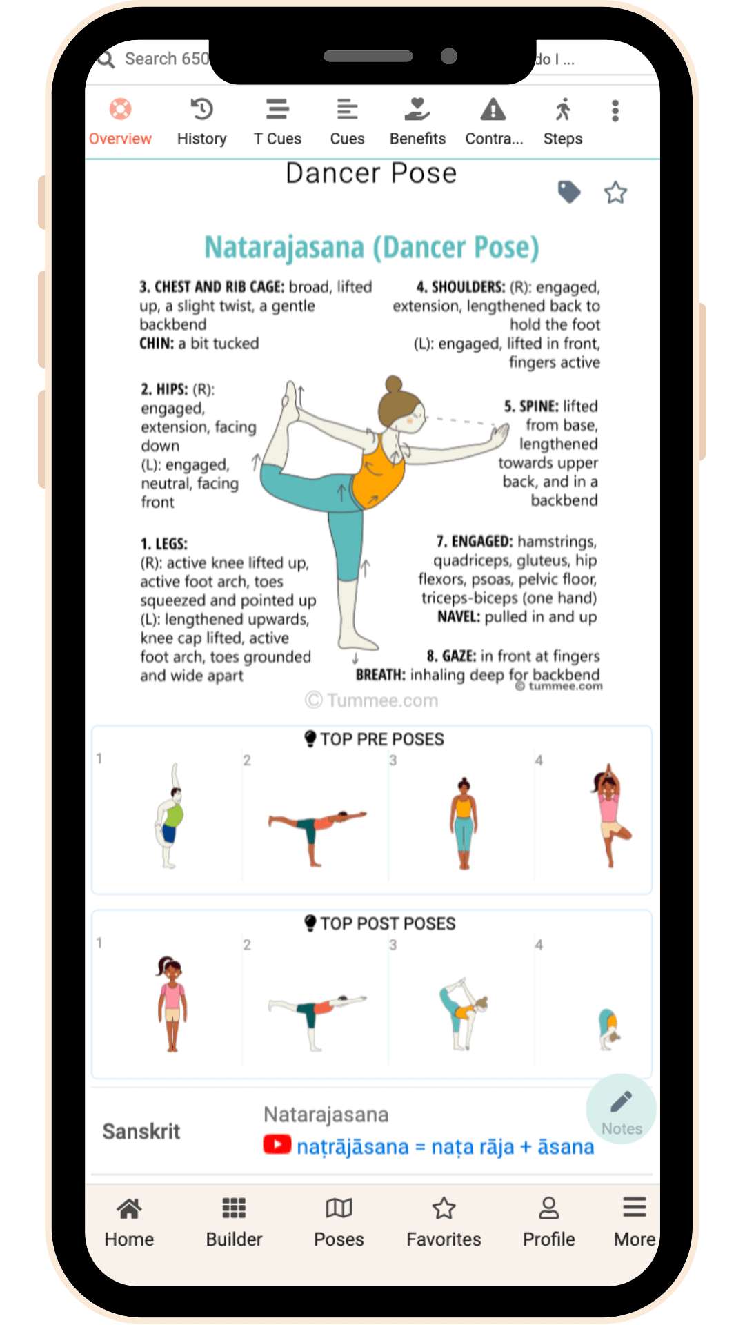 Yoga Sequence Builder for Yoga Teachers to Plan Yoga Classes