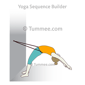 Wheel Pose Back Rope Urdhva Dhanurasana Prshtha Rope Sanskrit