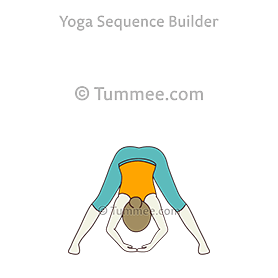 Wide Legged Forward Fold Pose Arms Variation (Prasarita Padottanasana ...